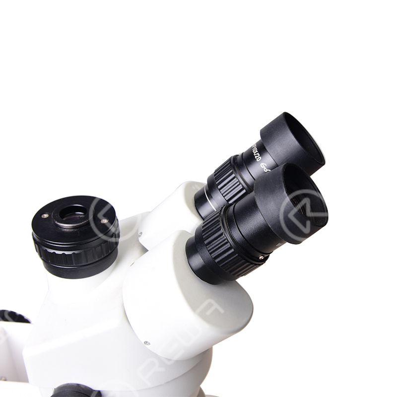 Digital Trinocular Microscope with LED Lamp Supplies